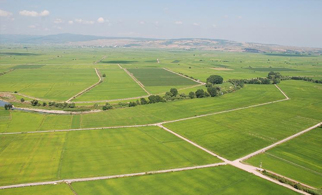 1 Dekar Kaç Dönüm? Dekar Ne Anlama Gelir? - Doğruhaber