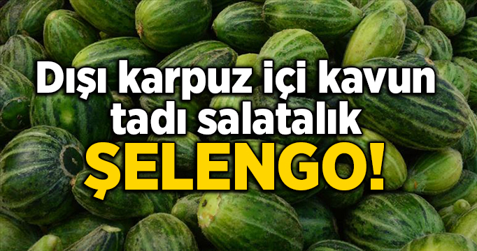 Dışı karpuz, içi kavun, tadı salatalık: Şelengo! - Doğruhaber